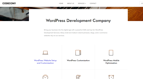 WordPress Development Service Company - Codecony
